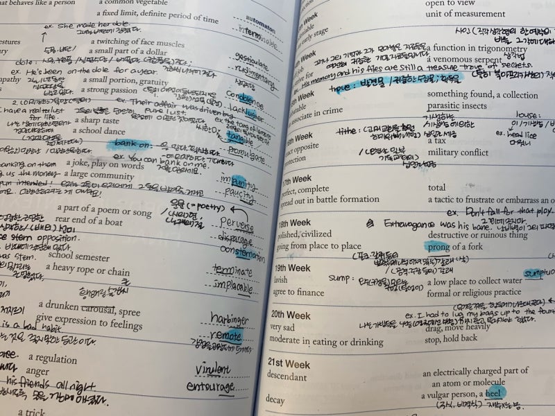 dole / lust / tang / bank on / spree / asp / trove / lice / tithe ...