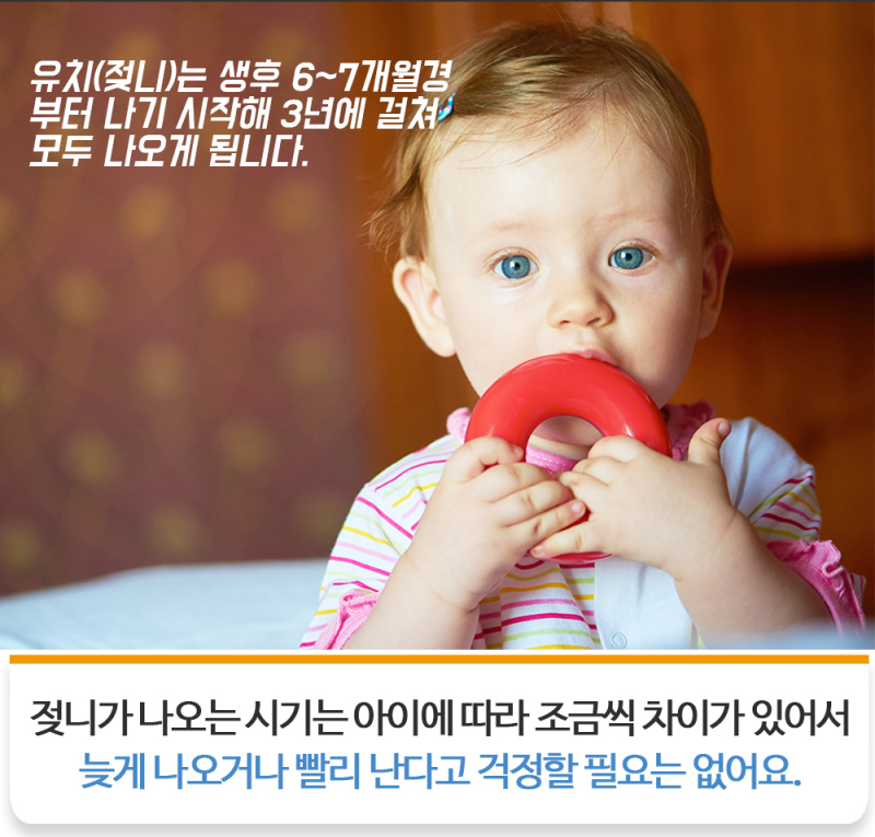 아기이빨~ 젖니유치나는시기 나오는순서 네이버 블로그