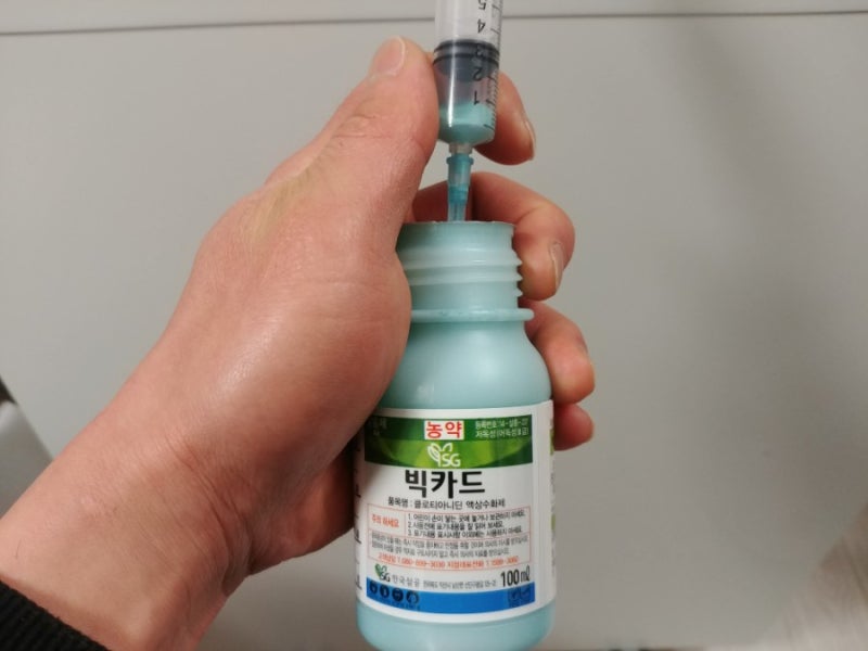 뿌리파리 퇴치 작은뿌리파리 퇴치 빅카드 농약 효과 아주 좋습니다 정량사용으로 박멸에 가까운 성과 네이버 블로그