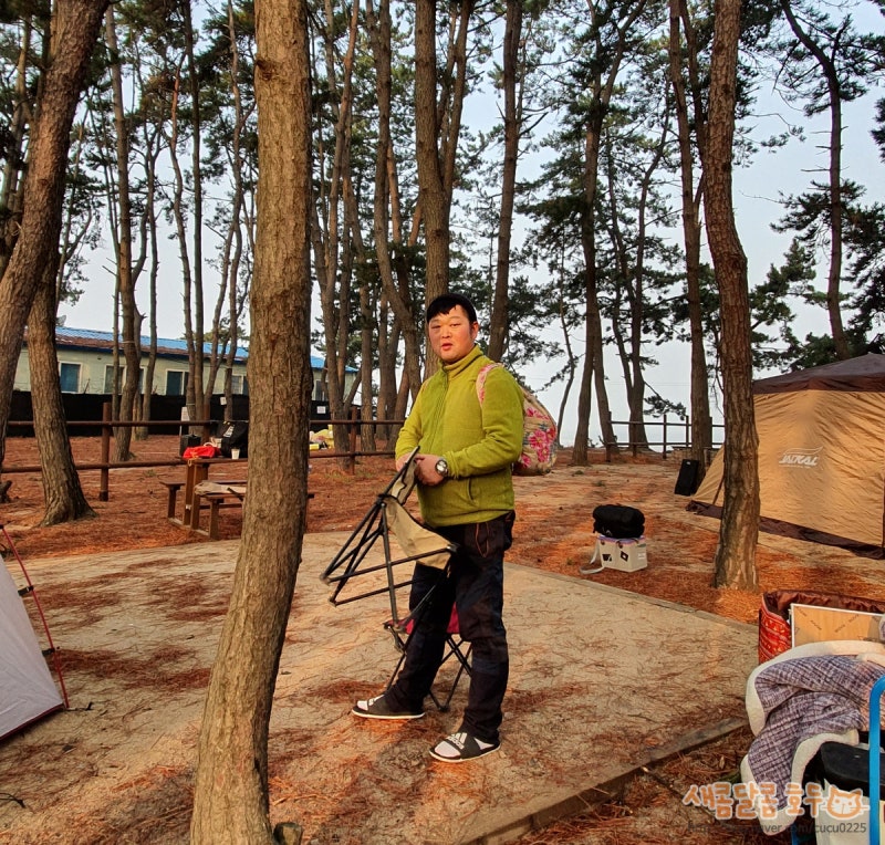 전북 부안 변산반도 고사포 야영장 캠핑 And 해루질 네이버 블로그