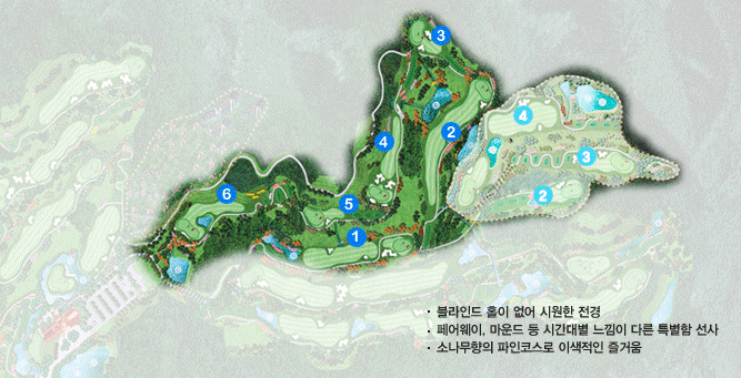 포레스트힐cc컨트리클럽 코스안내 및 코스공략법마이골프 네이버 블로그