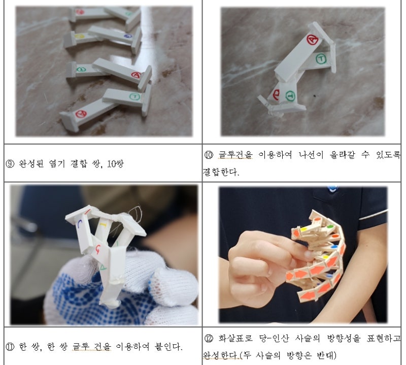 2015개정교육과정 생명과학2 운영 및 평가 계획 네이버 블로그