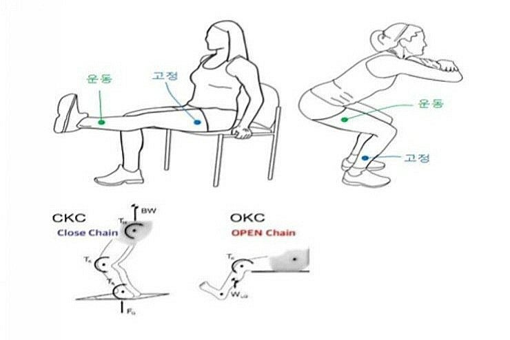 대흉근pectoralis Major 큰가슴근 대흉근 해부학가슴운동 가슴스트레칭 가슴통증 팔통증 팔저림 네이버 블로그