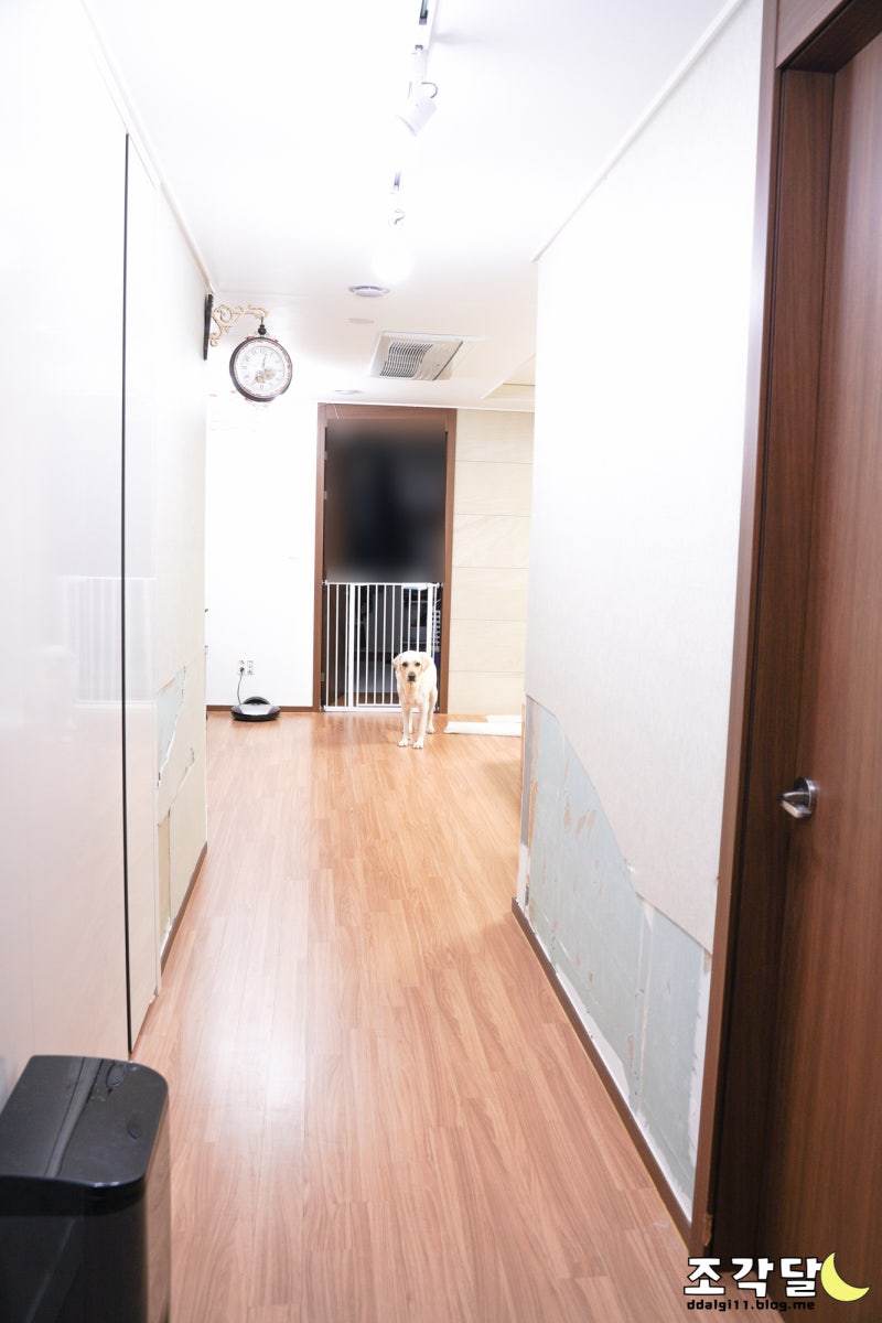 새로고침 만능풀바른벽지로 셀프도배 성공 네이버 블로그