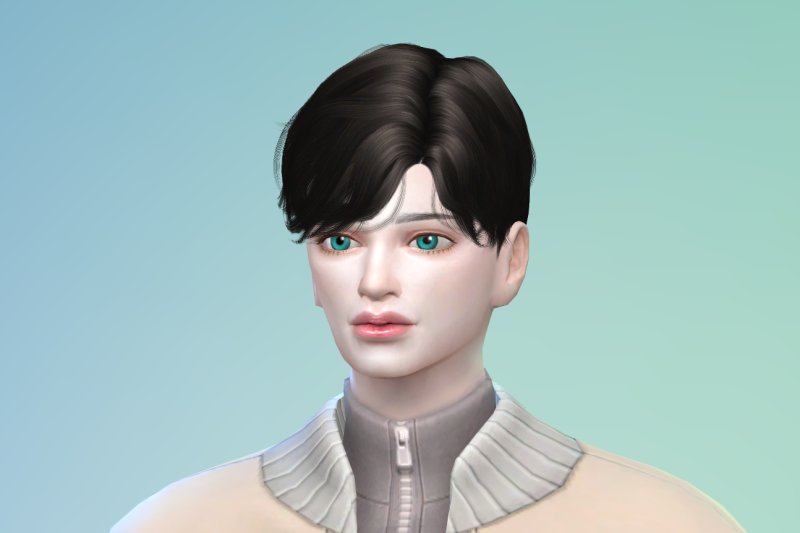 심즈4 심만들때 쓰는 cc템 총정리 : 네이버 블로그