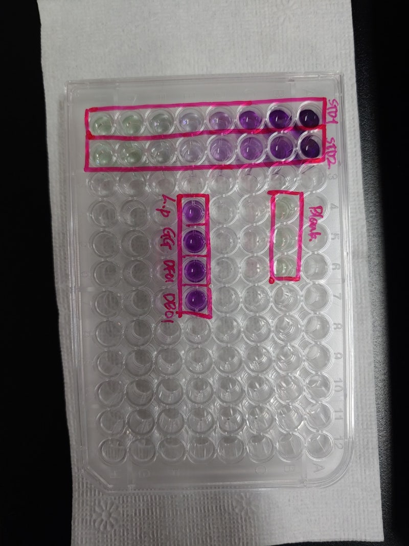 5일차 BCA Assay 실험노트 : 네이버 블로그