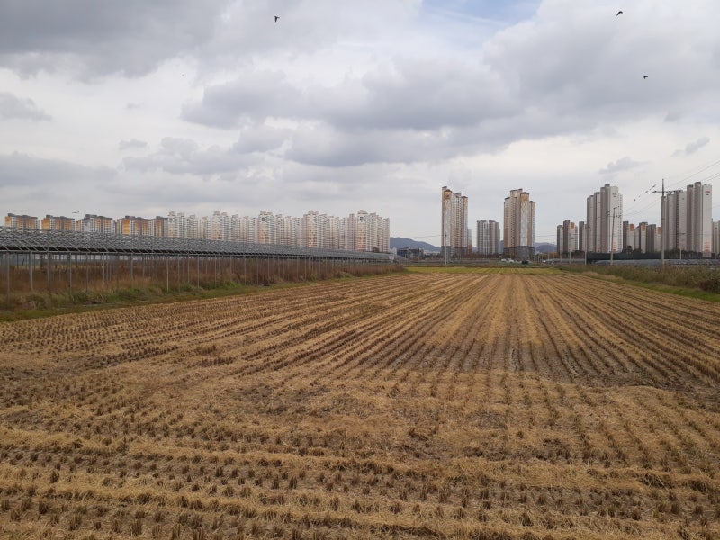 토지보상금 수용재결 이의재결에 대하여 네이버 블로그