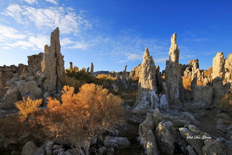 모노 레이크(Mono Lake)의 신기한 튜파(Tufa) : 네이버 블로그