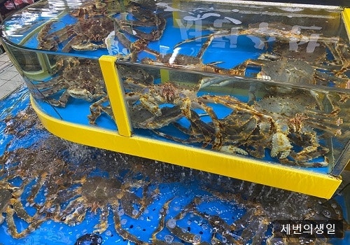 소래포구 서천수산 소래포구 횟집 솔직후기 네이버 블로그