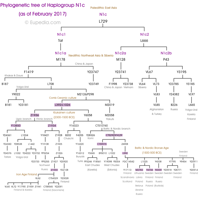 시베리아 주류 동유럽 발트인 주류 러시아인 우랄인 주류 Y-DNA 그룹 N1c1a Y-DNA 하플로 표본형 얼굴,북유럽 노르딕 ...