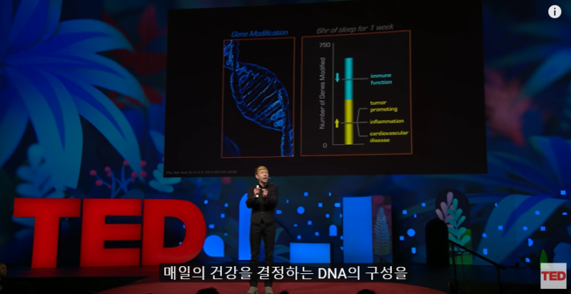 TED] Sleep is your superpower (잠은 우리의 슈퍼파워이다)| Matt Walker : 네이버 블로그