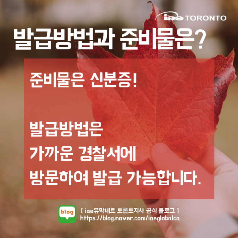 2020년 캐나다 워킹홀리데이 인비테이션 선발 후 제출서류 5 범죄수사기록회보서 네이버 블로그