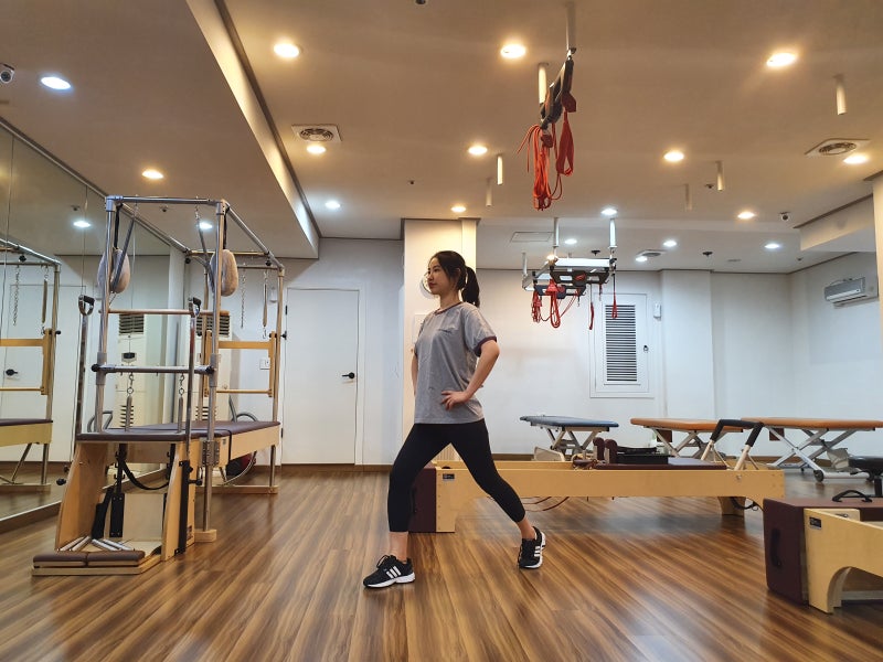 대퇴근막장근 넙다리근막긴장근 Tensor Fasciae Latae 구조와 기능 네이버 블로그
