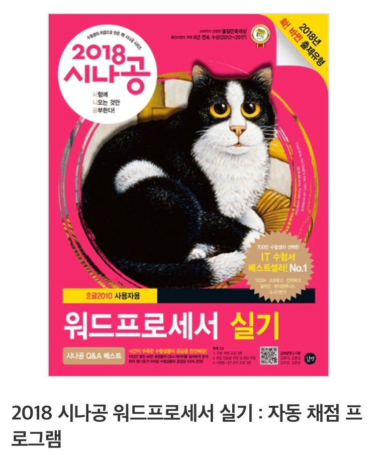자격증 워드 프로세서 실기 이틀 합격 후기 독학 시나공 네이버 블로그