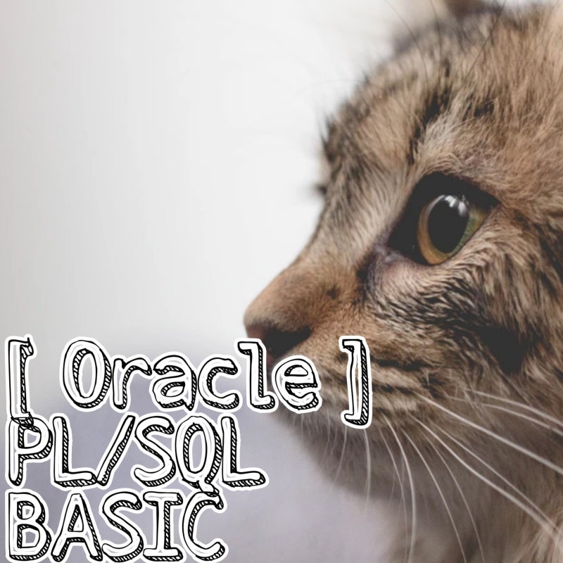 [Oracle] PL/SQL 변수 선언 및 변수 타입 | %TYPE, %ROWTYPE의 사용 | 데이터베이스 프로그래밍 ...