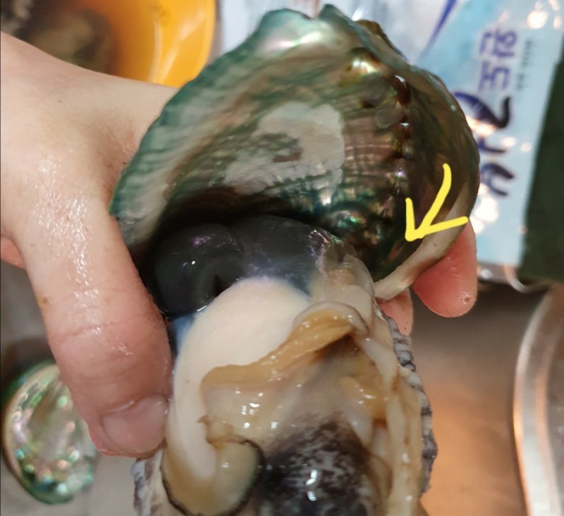 전복손질법 전복 이빨제거가 필수 모래주머니도 떼어주세요~ 네이버 블로그