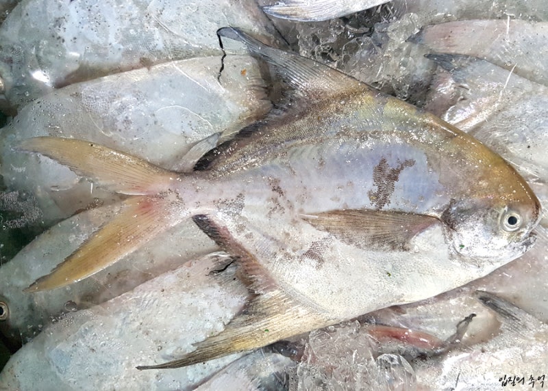 병어와 덕자는 무슨 차이? 한방에 정리합니다. : 네이버 블로그