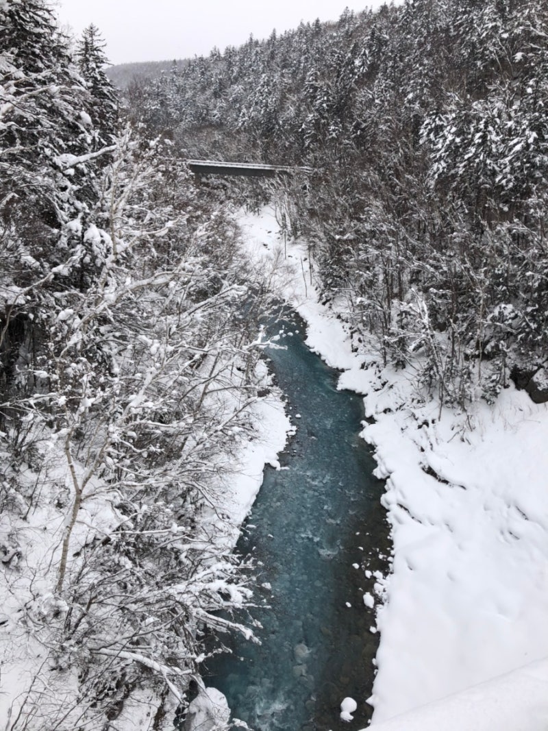삿포로여행의 꽃 비에이투어/렌트해서 비에이투어 가는법/동상이몽에도 나온 백은장 온천 : 네이버 블로그