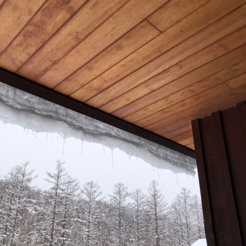 삿포로여행의 꽃 비에이투어/렌트해서 비에이투어 가는법/동상이몽에도 나온 백은장 온천 : 네이버 블로그