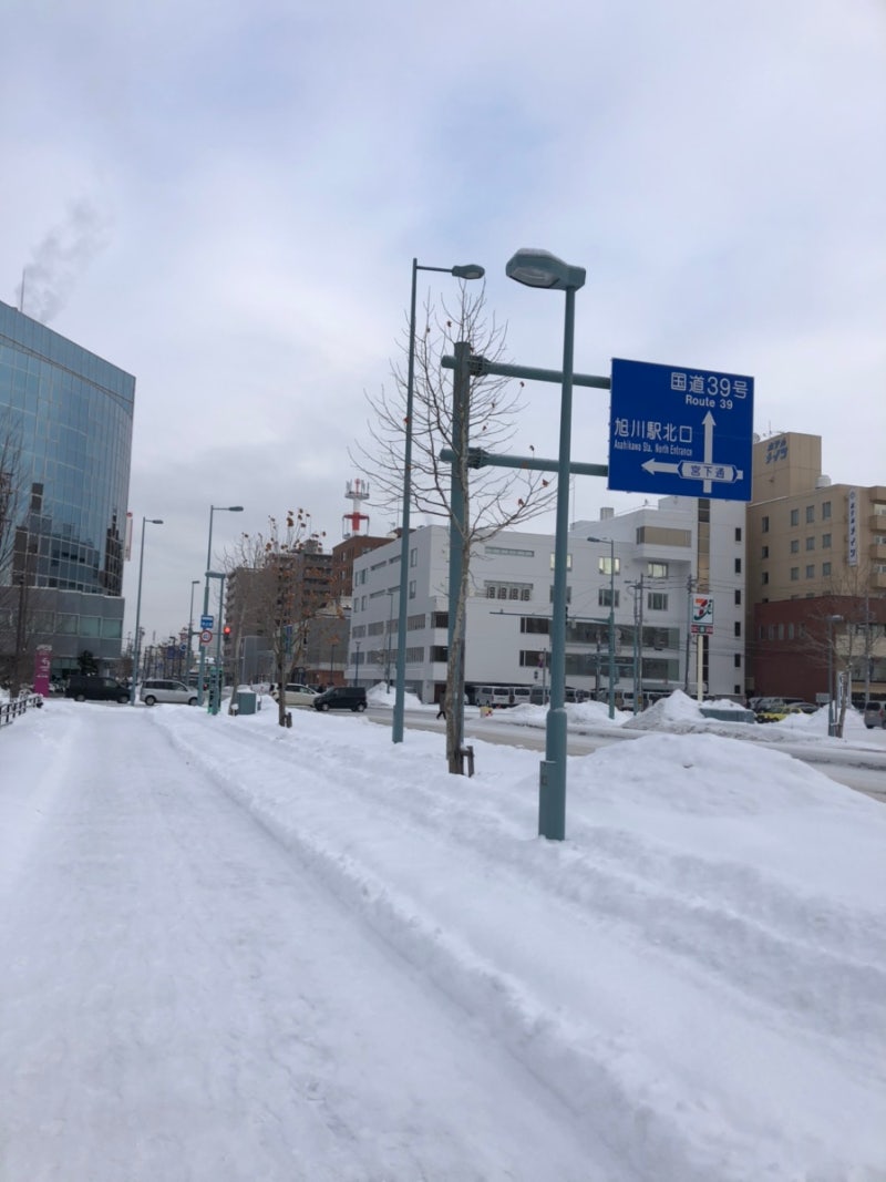 삿포로여행의 꽃 비에이투어렌트해서 비에이투어 가는법동상이몽에도 나온 백은장 온천 네이버 블로그