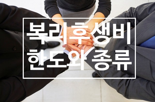 복리후생비 한도와 종류 어떤것들이 있을까요 네이버 블로그