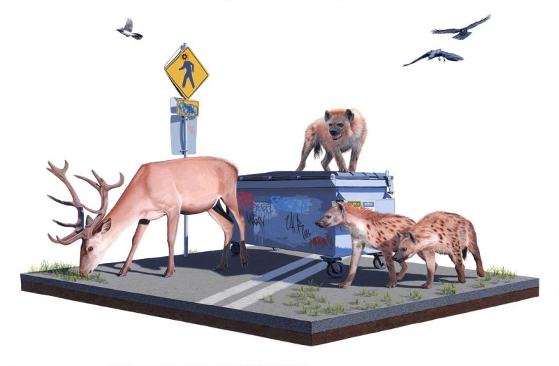 학창시절 지구과학 시간이 좋았던 조쉬 키이스(Josh Keyes)의 그림들 : 네이버 블로그