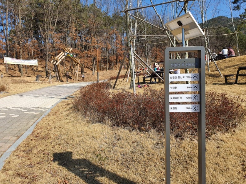 세종시 전월산 정상무궁화 유아 숲 체험원 네이버 블로그