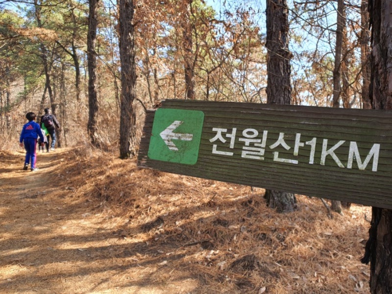 세종시 전월산 정상무궁화 유아 숲 체험원 네이버 블로그