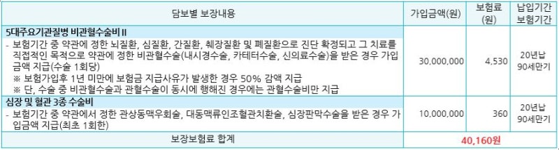 5대기관질병수술비 관혈6천 비관혈3천 심장 및 혈관 3종 수술비1천 보장 보험 추천 네이버 블로그