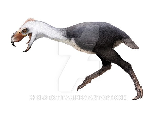 45장. 공포새; 공룡 최후의 전성기? : 네이버 블로그