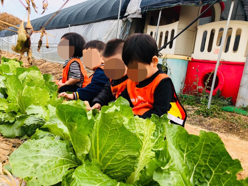 영유아 현장학습 체험학습 추천 [아.가.농] 농장/자연물과 함께 커가는 아이들! : 네이버 블로그