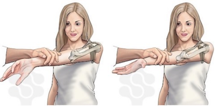 SLAP(Shoulder Superior Labrum Anterior to Posterior) Lesion - 어깨 상부 관절 ...