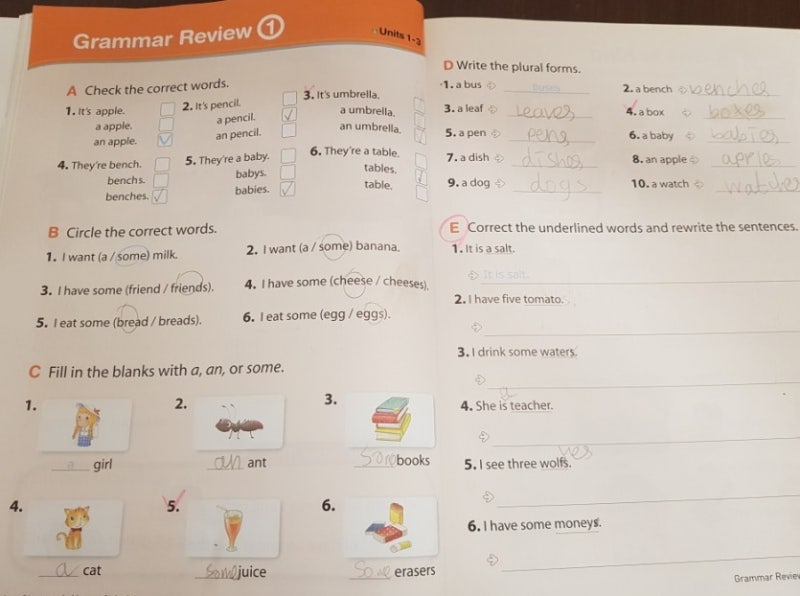 Bricks First Grammar(1) : 초등생에 맞는 쉬운 문법책~ : 네이버 블로그