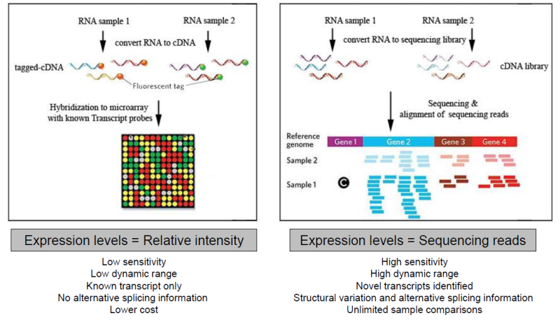 자료1 : 네이버 블로그