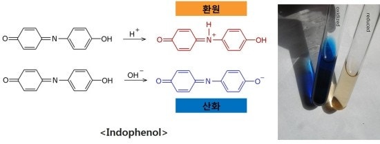 산과 염기 지시약, 산화와 환원 지시약 : 네이버 블로그