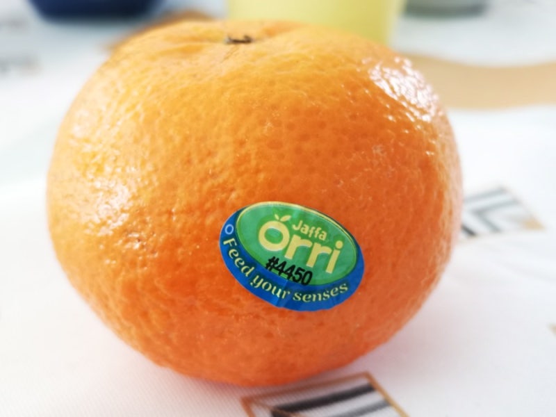 스위스 제네바 살기 - 나의 최애 귤품종, Israel Orri mandarin, 달콤한 오리귤 : 네이버 블로그