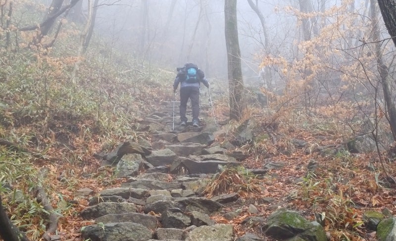 치악산 등산코스 초보와 황골탐방지원센터에서 비로봉까지 최단 코스 완주 네이버 블로그
