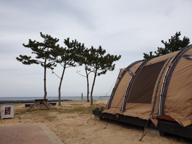 망상오토캠핑장 평일캠핑 바람의해변 후기 및 추천 사이트 정보 네이버 블로그