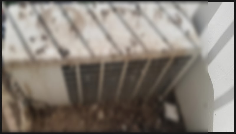 에어컨 실외기 비둘기 퇴치 방법 비교 네이버 블로그