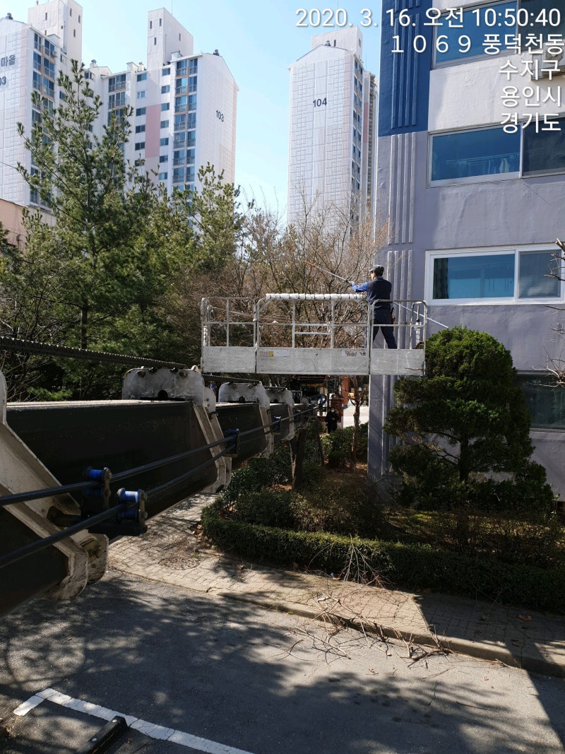 성남스카이차 아파트 나무 전지작업 조경수목 가지치기 전국 스카이차 사다리차 네이버 블로그
