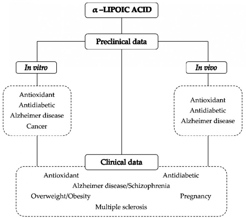 알파리포산 Alpha Lipoic Acid 효능 부작용 권장량 제품 순위 네이버 블로그