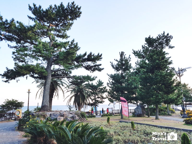 제주도 여행 제주도 쇠소깍 전통 조각배 카약 요금 소요 시간 주차장 정보검은모래해변 제주도 서귀포 여행 네이버 블로그