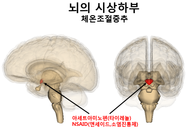 코로나19 아세트아미노펜타이레놀파라세타몰 Vs 이부프로펜 네이버 블로그