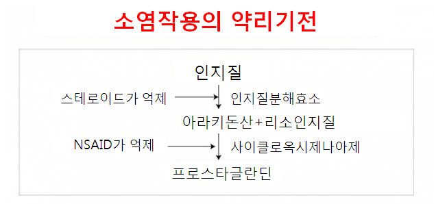 코로나19 아세트아미노펜타이레놀파라세타몰 Vs 이부프로펜 네이버 블로그