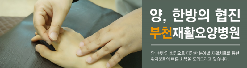 코로나19 아세트아미노펜타이레놀파라세타몰 Vs 이부프로펜 네이버 블로그