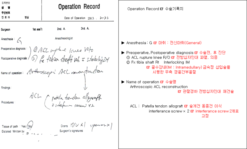 Pan의학자료무릎인대 파열과 장해진단 기준정형외과 기초이론12 네이버 블로그