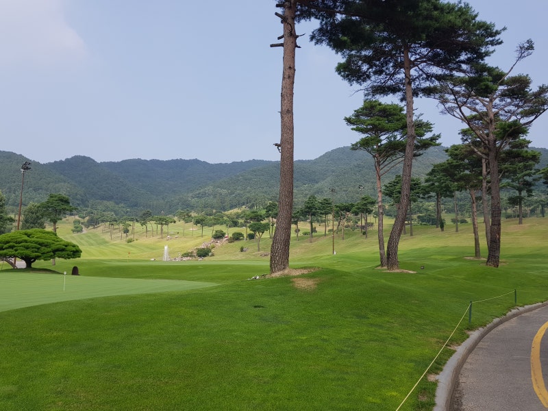 주상복합 아파트의 역사와 장단점 알아보기 네이버 블로그