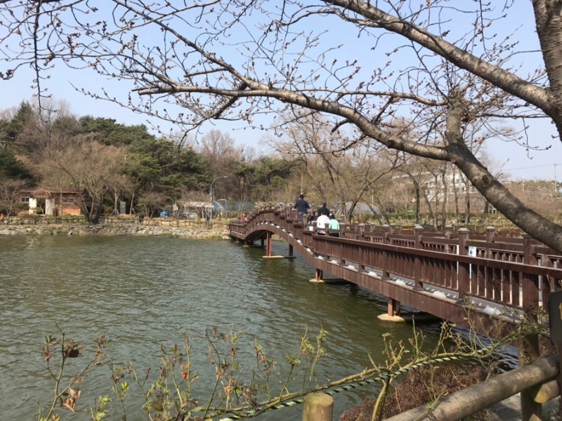 풍암동 가볼만한곳 풍암호수공원 가벼운 산책으로 좋네요 네이버 블로그