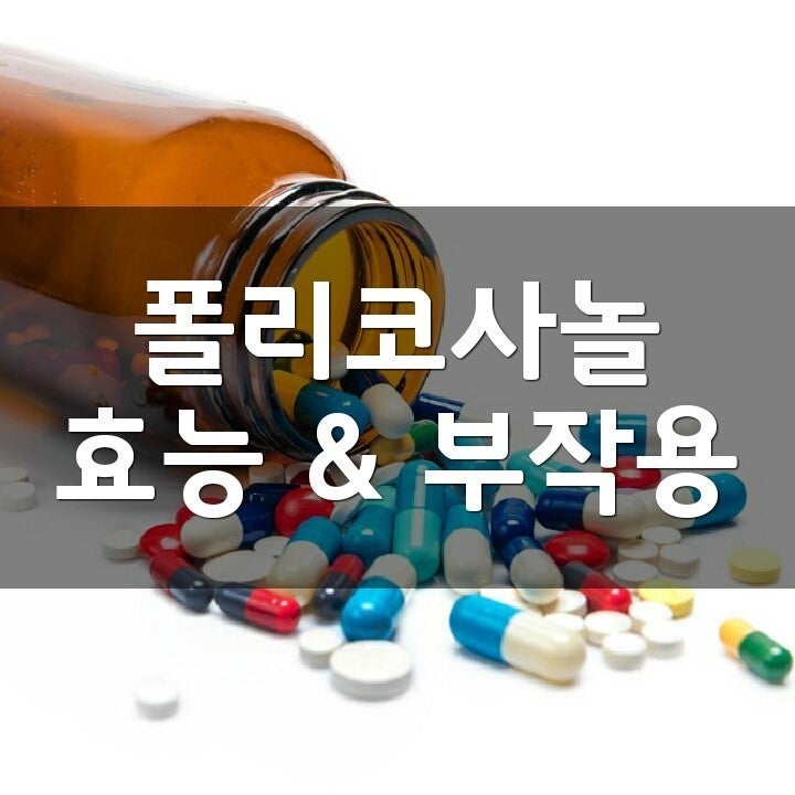 폴리코사놀 Policosanol 효능 부작용 권장량 제품 순위 네이버 블로그