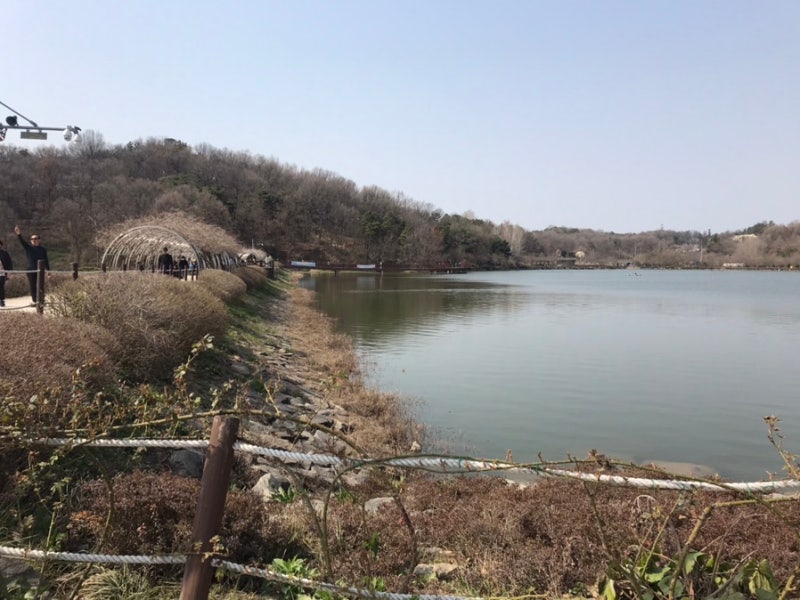 풍암동 가볼만한곳 풍암호수공원 가벼운 산책으로 좋네요 네이버 블로그